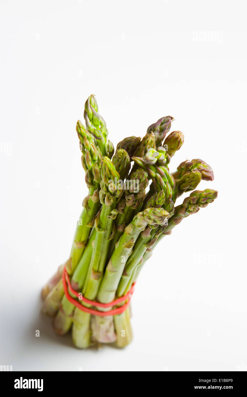 fresh wild asparagus Stock Photo - Alamy fresh wild asparagus Stock Photo - Alamy