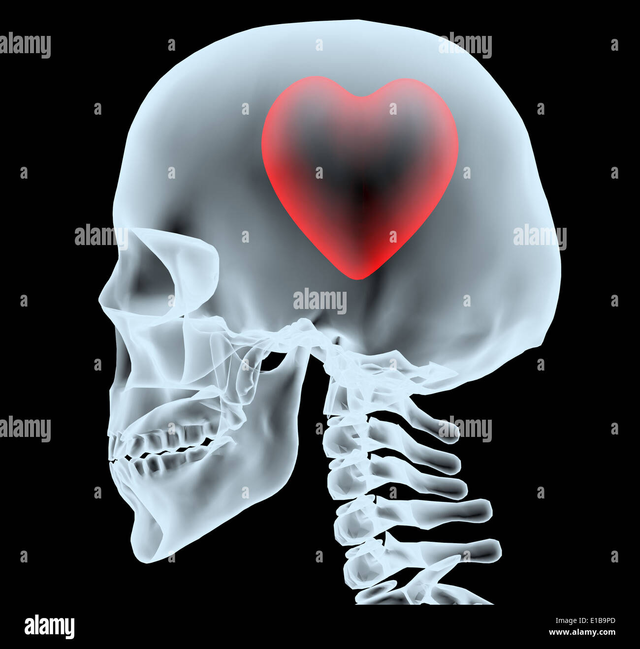 X-ray of a head with the heart instead of the brain, 3d illustration ...
