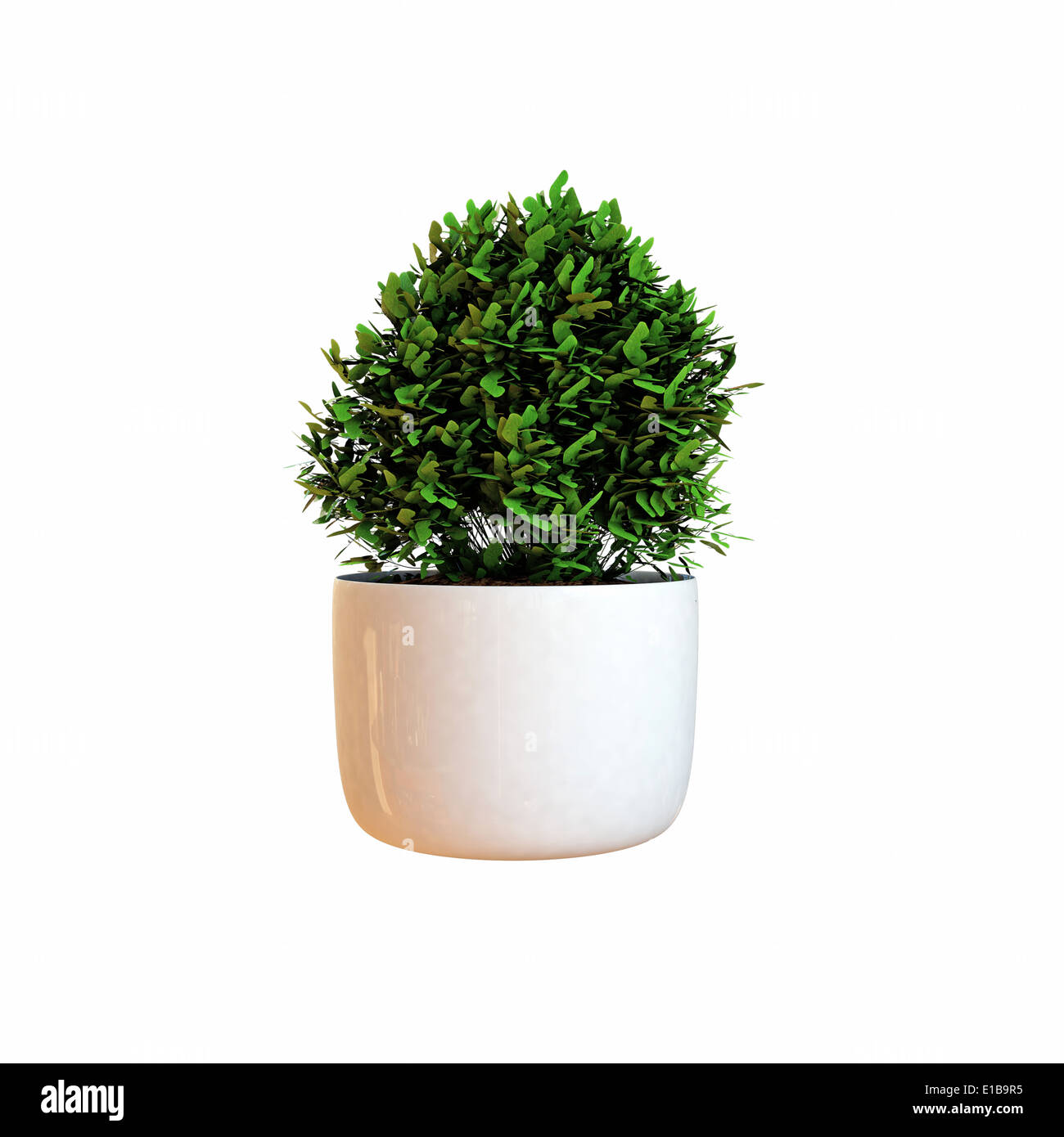 bush pot isolated on white background Stock Photo - Alamy