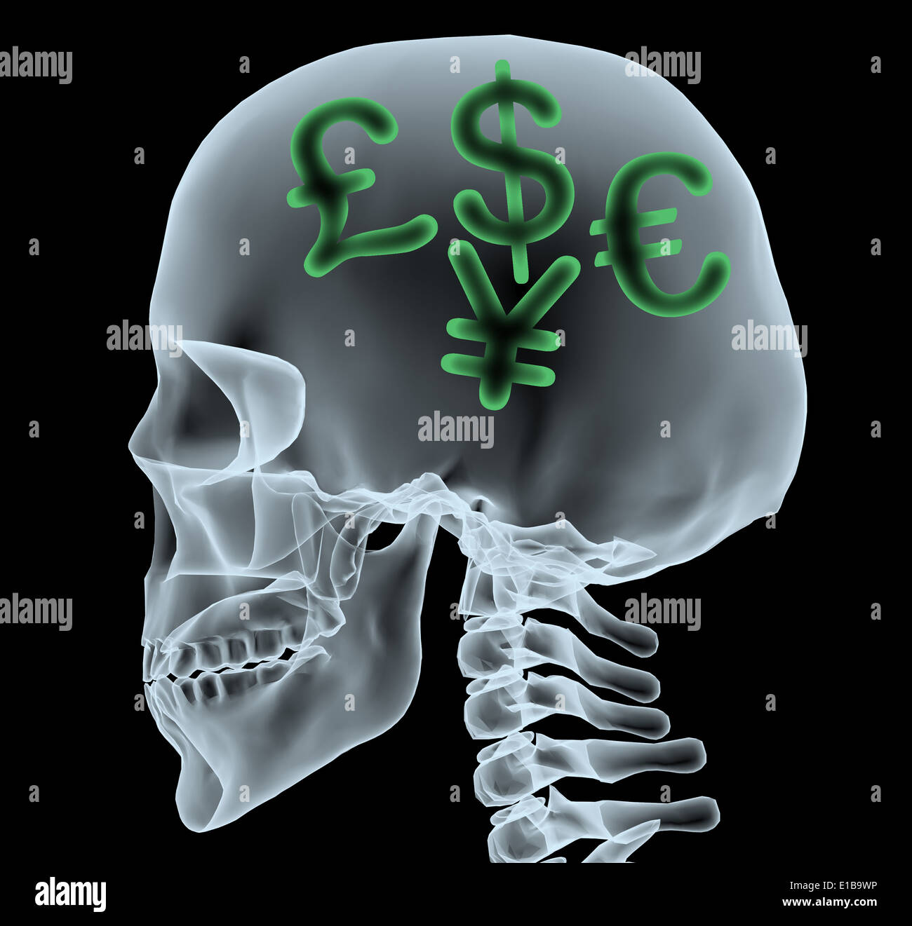X-ray of a head with currency symbols, 3d illustration Stock Photo - Alamy