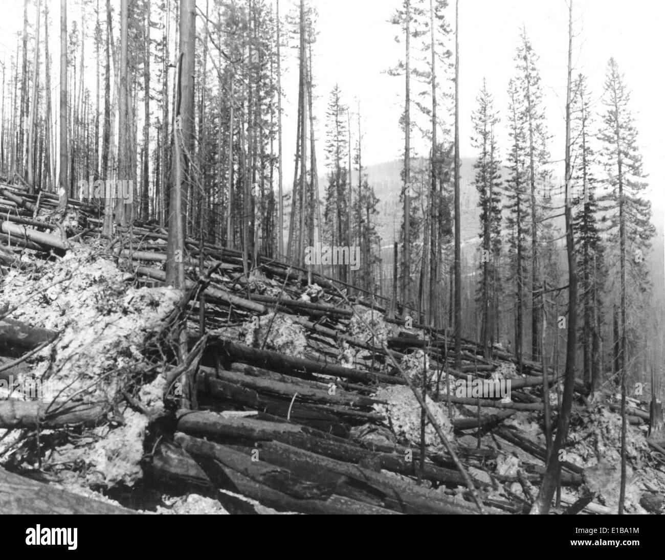 The 1910 Fires were one of the largest wildfire events in U.S. history ...