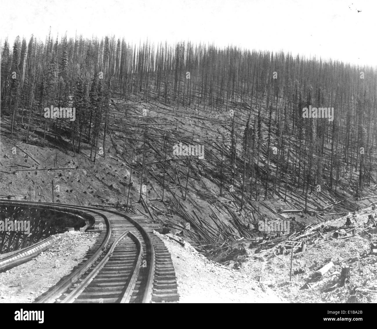 The aftermath of the 1910 fires in the Western U.S. is captured ...
