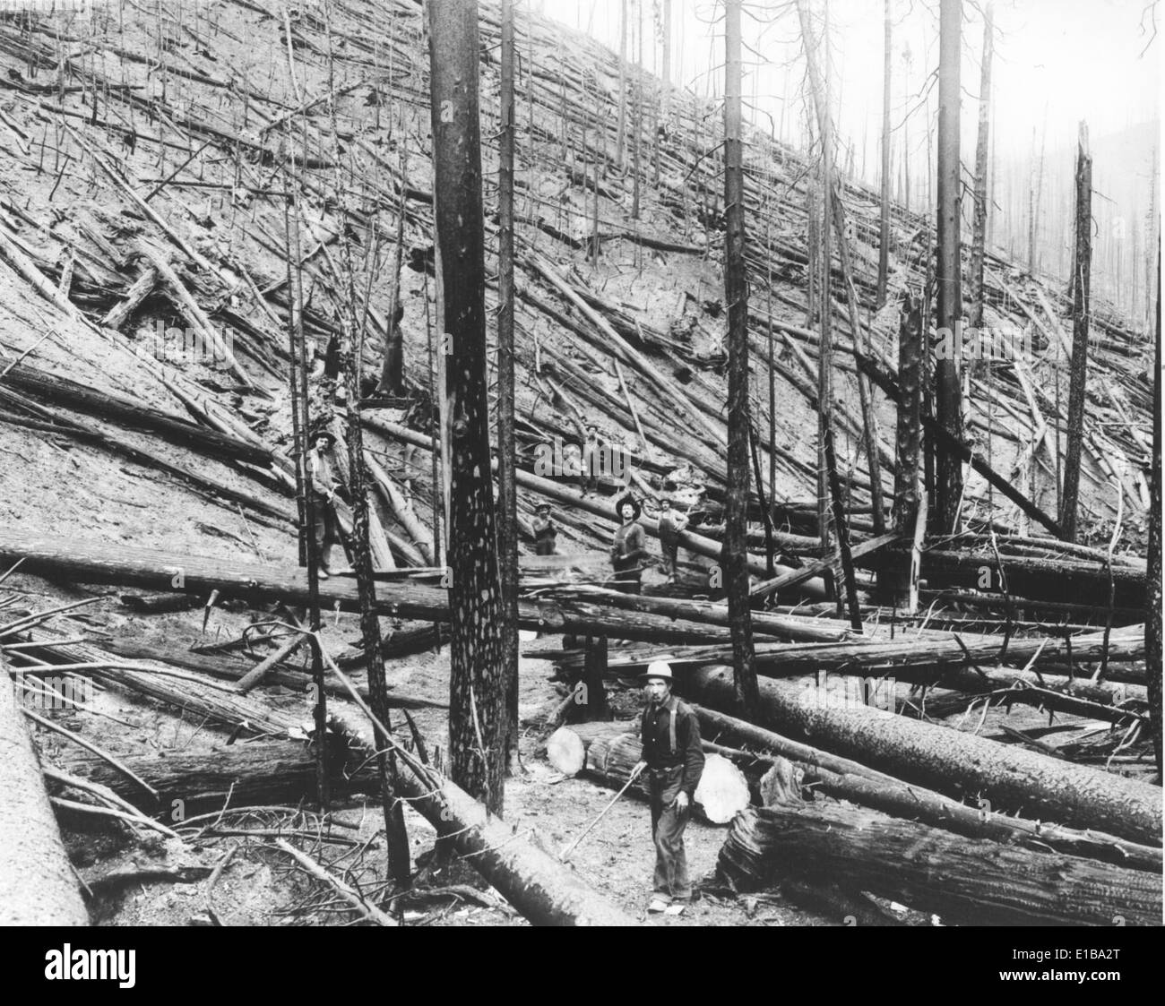 National forest ranger station Black and White Stock Photos & Images ...