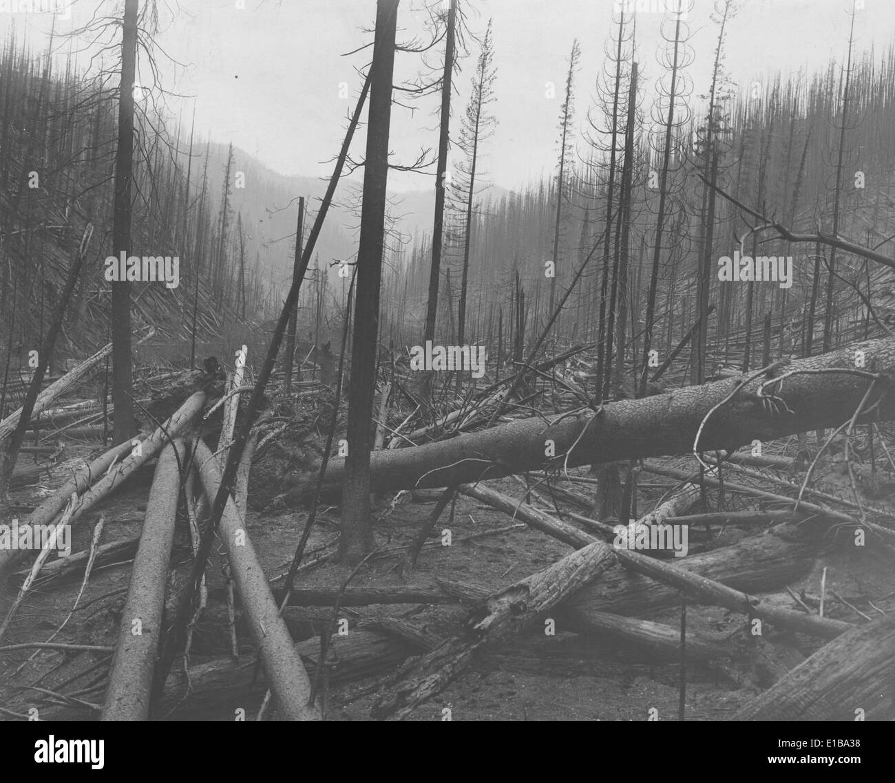 The 1910 Fires, one of the largest wildfire events in U.S. history ...