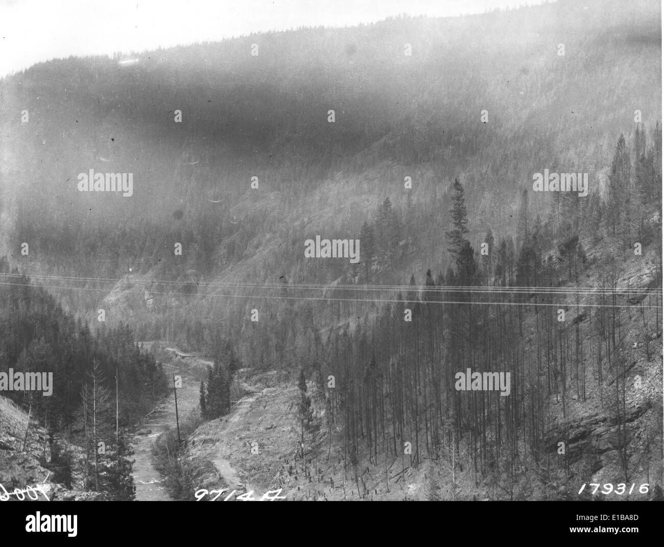 The 1910 Fires, a devastating series of wildfires in the western U.S ...