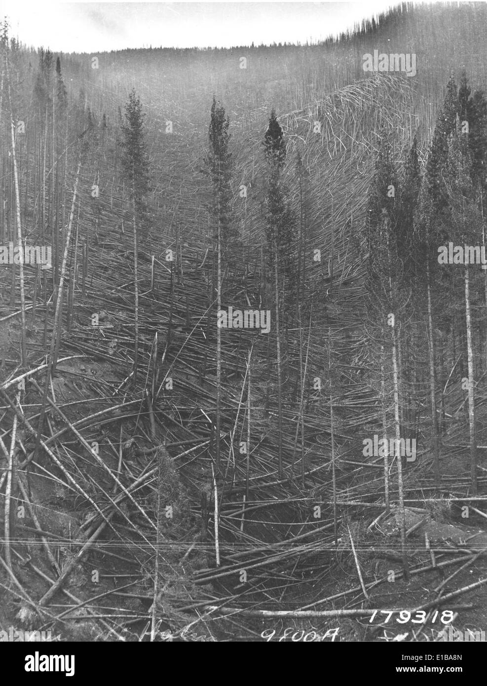 Impact of wildfires Black and White Stock Photos & Images - Alamy