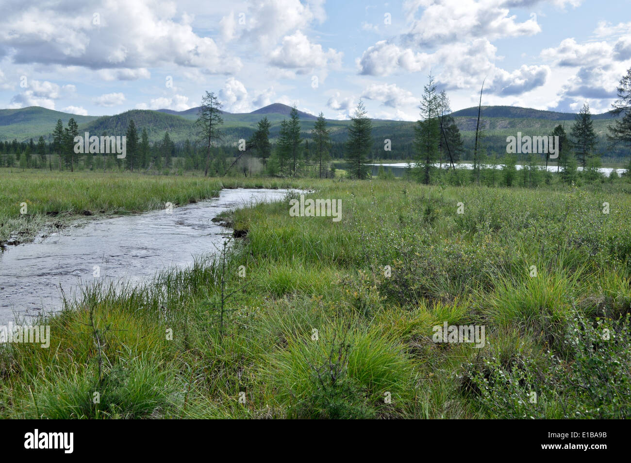Water summer landscape surrounding the river Suntar in the Highlands of ...