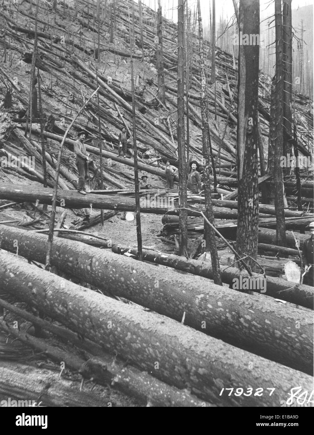 The 1910 Fires were among the largest wildfires in U.S. history. The ...