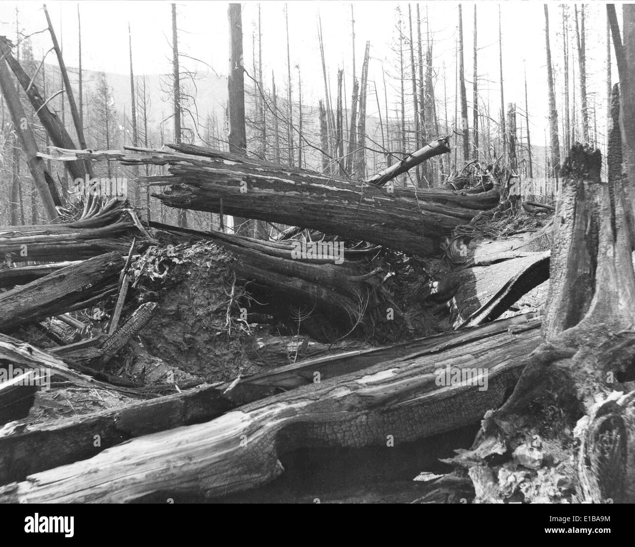 Wildfire aftermath devastating landscape hi-res stock photography and ...