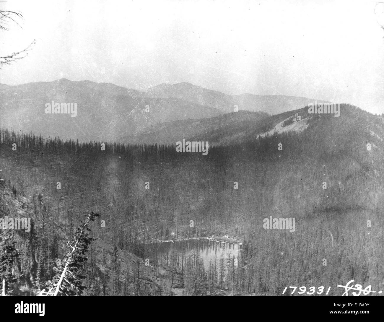 The aftermath of the 1910 Fires in the U.S. West, which devastated ...