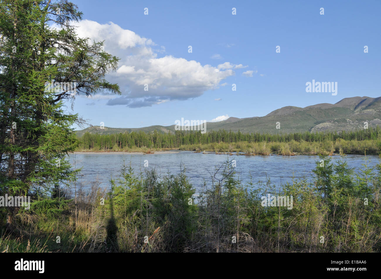 Water summer landscape surrounding the river Suntar in the Highlands of ...