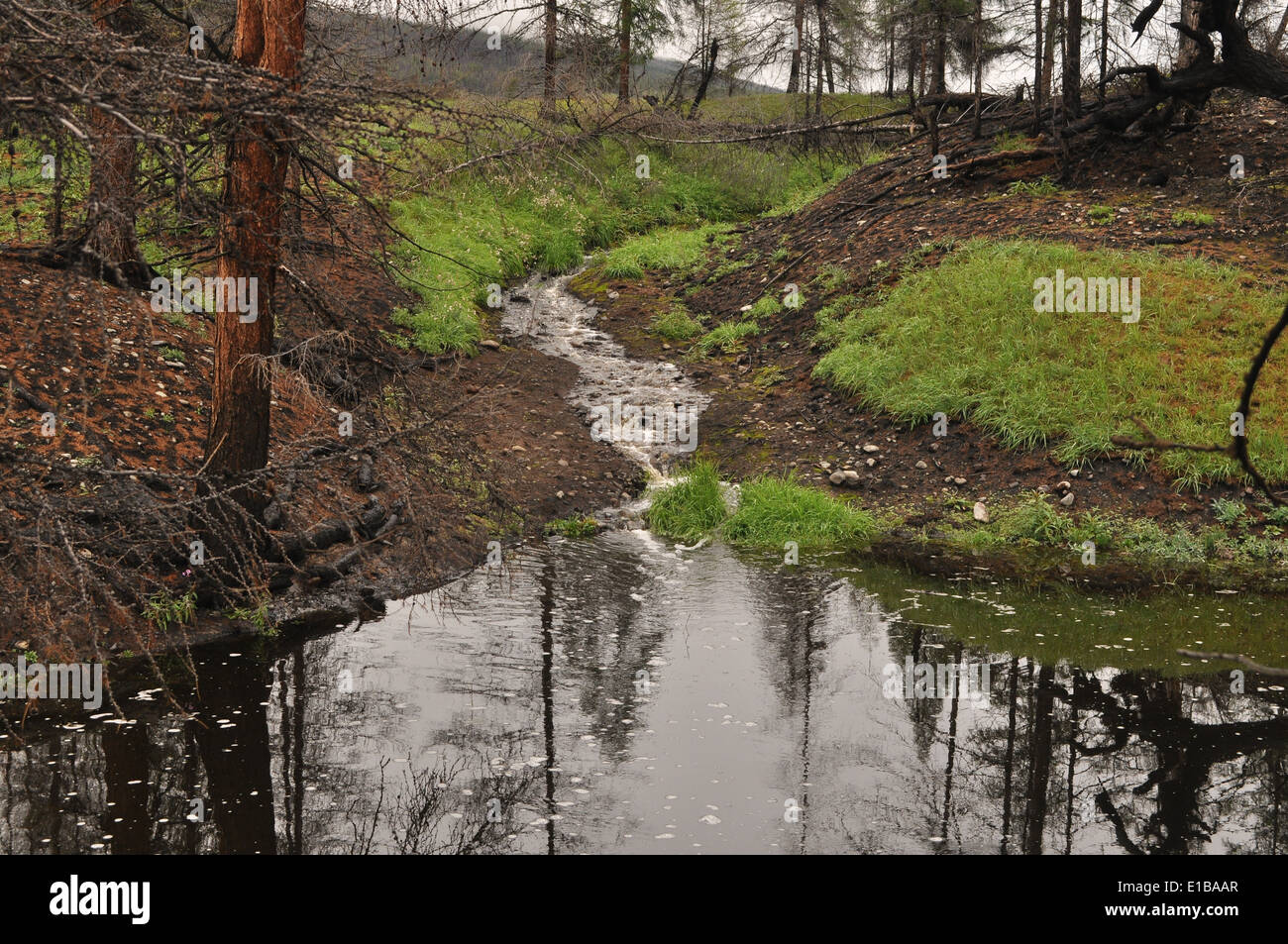 Water summer landscape surrounding the river Suntar in the Highlands of ...