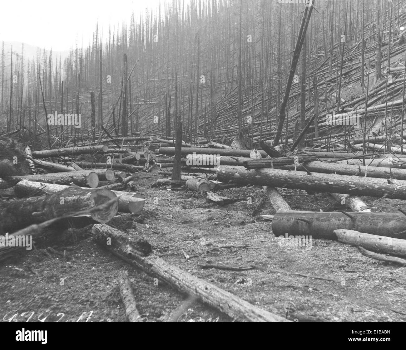The 1910 Fires, one of the largest wildfires in U.S. history ...