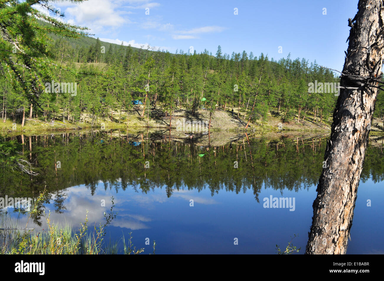 Water summer landscape surrounding the river Suntar in the Highlands of ...