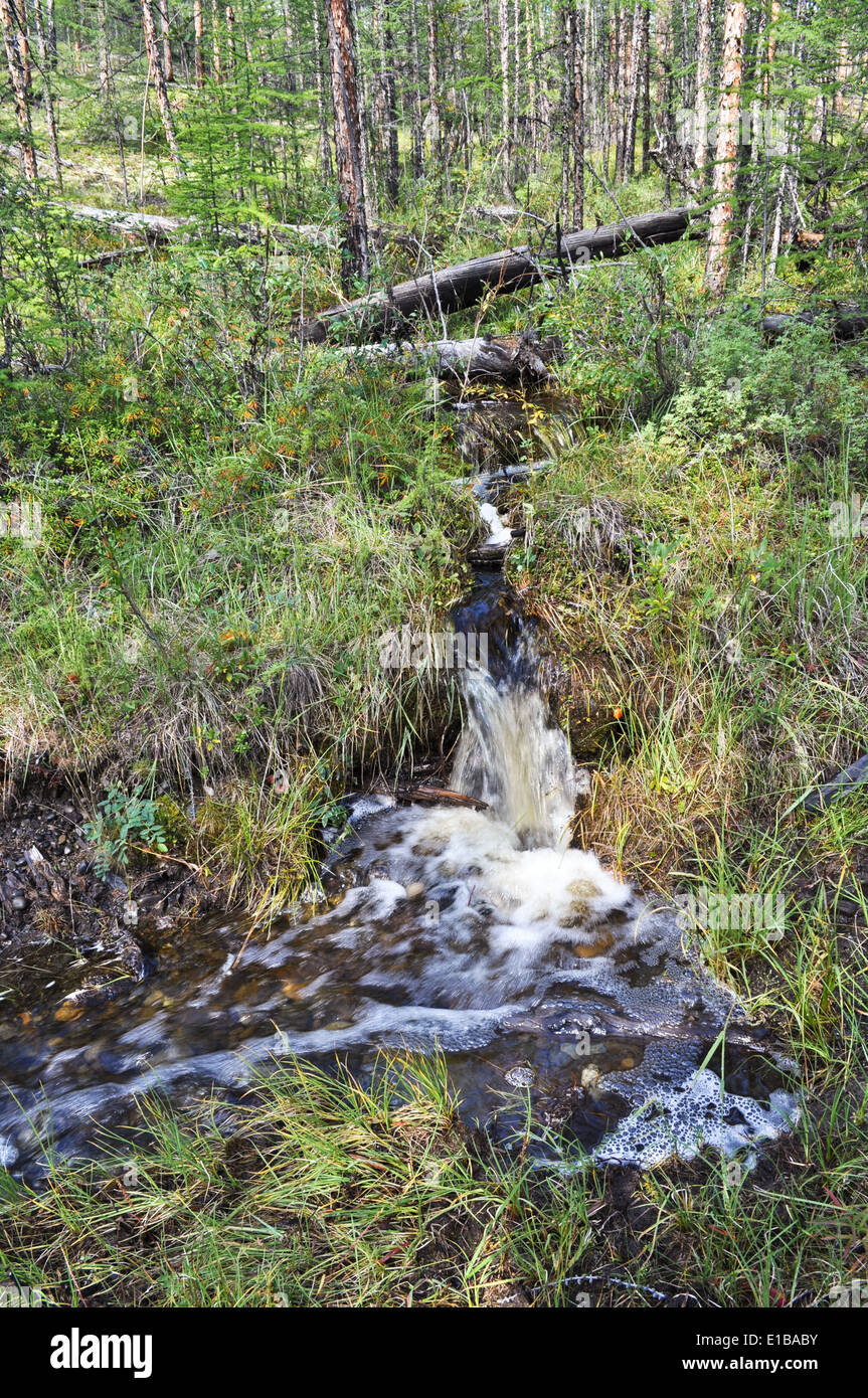 Water summer landscape surrounding the river Suntar in the Highlands of ...