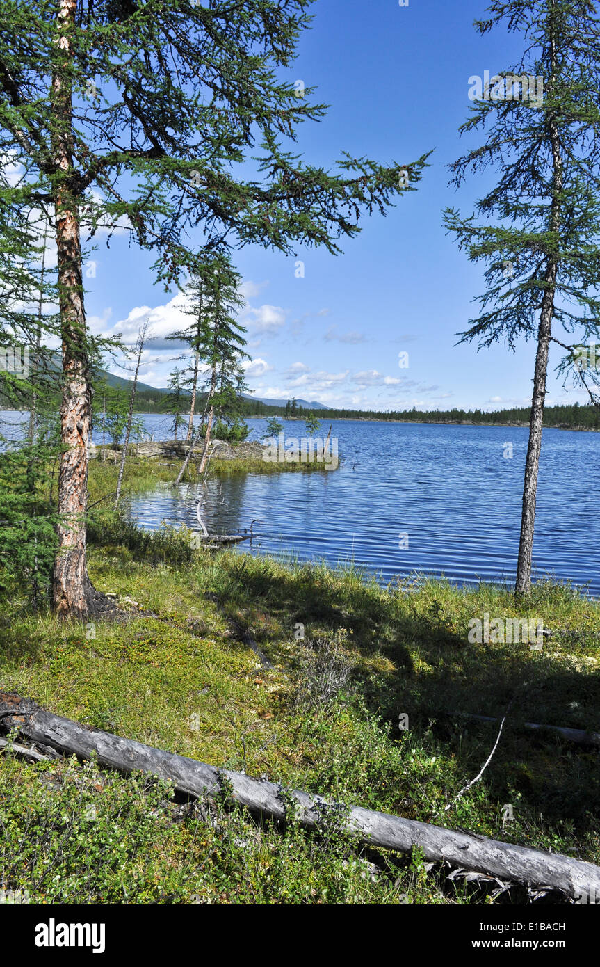 Water summer landscape surrounding the river Suntar in the Highlands of ...