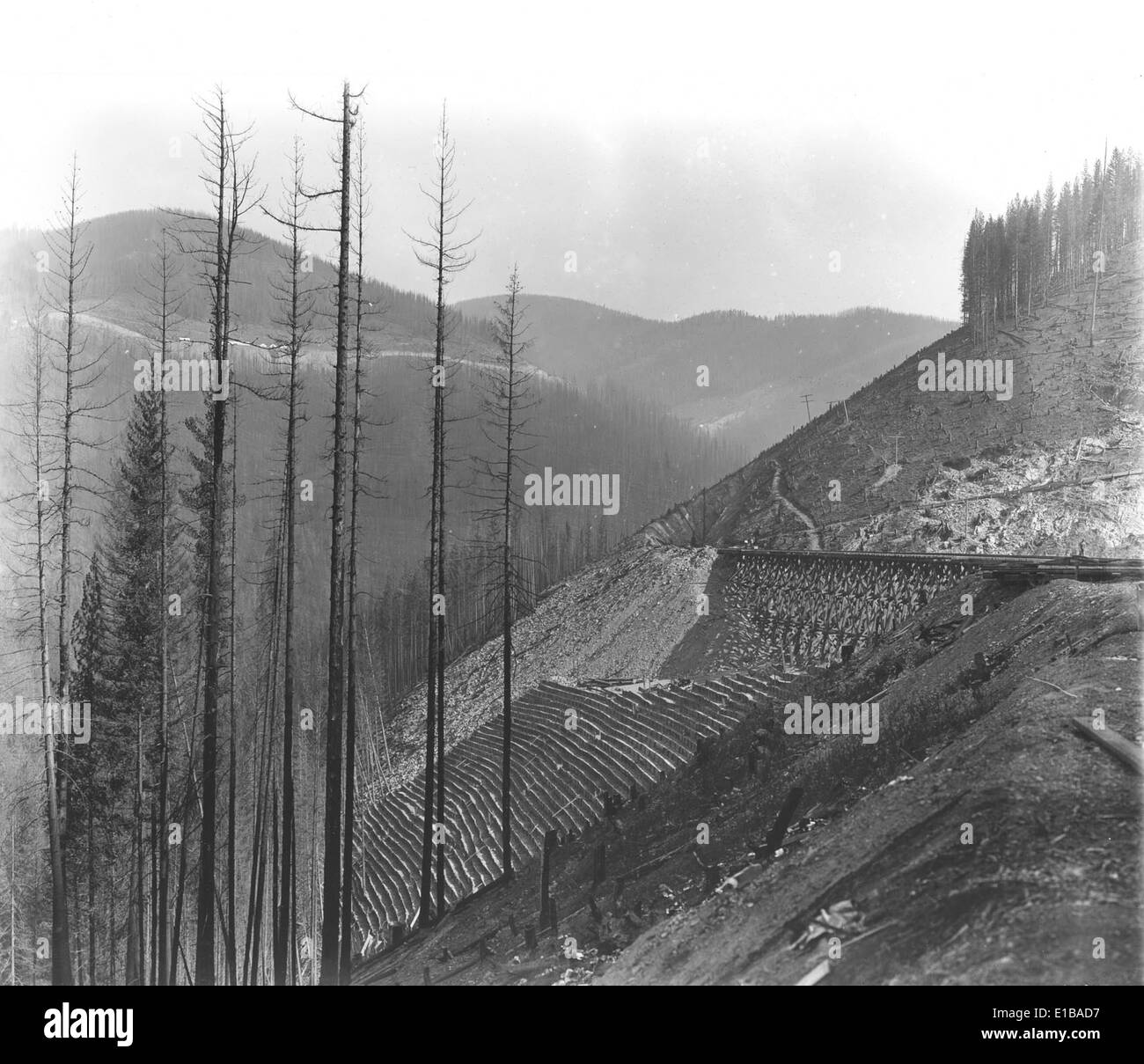 The aftermath of the 1910 fires left a significant impact on the ...