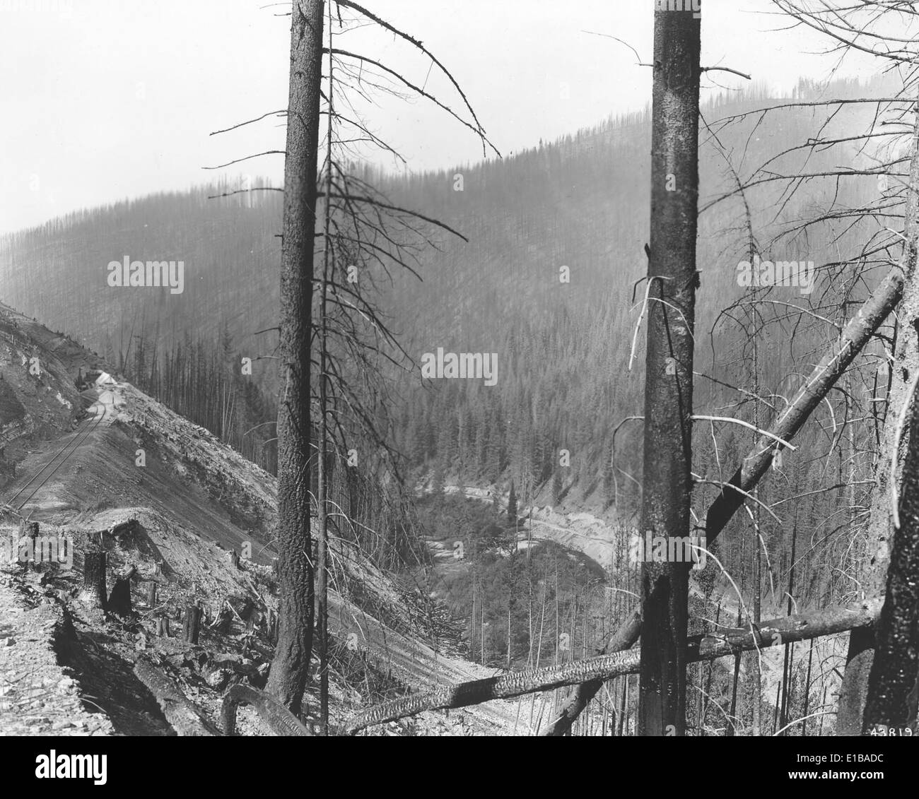 This image captures the aftermath of the 1910 fires, which ...