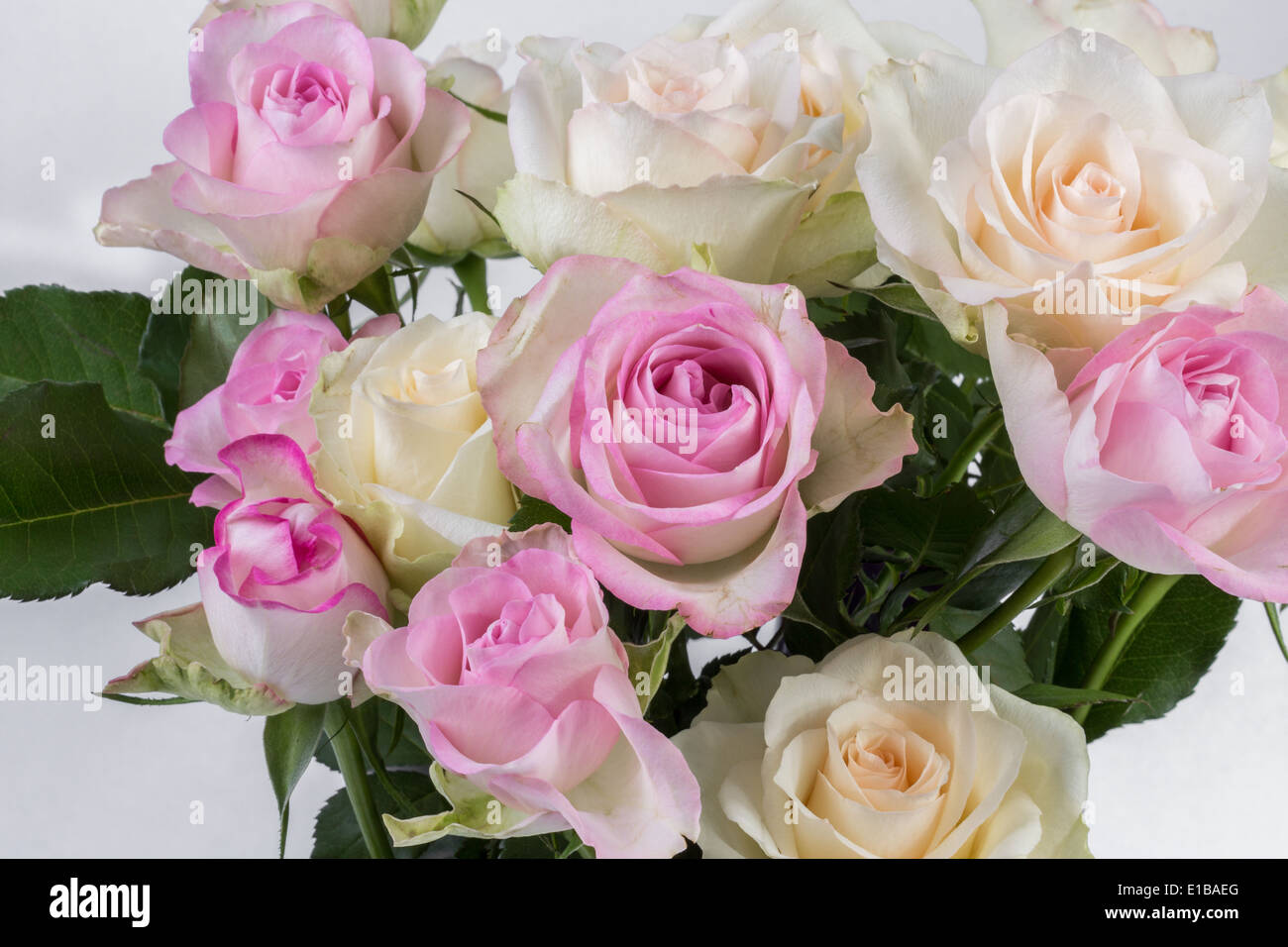 Bouquet of pink and white roses Stock Photo - Alamy