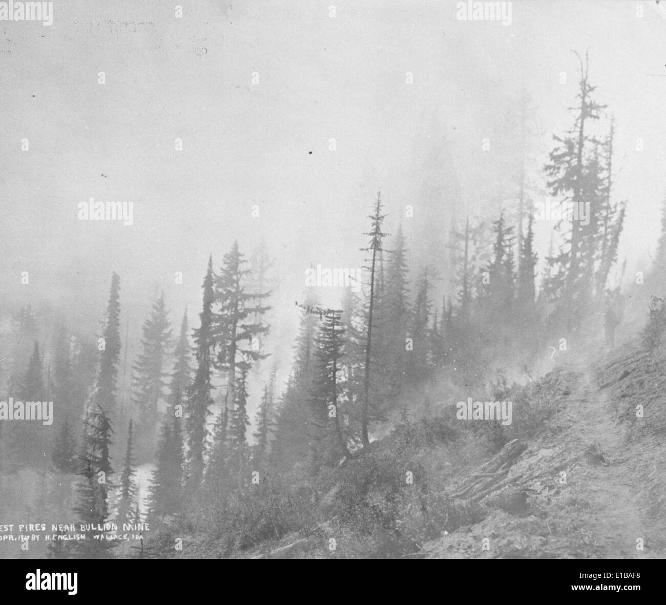 The 1910 Fires were a series of devastating wildfires that swept across ...