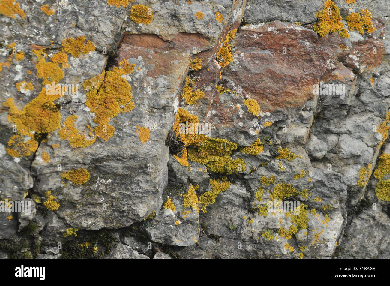 Severe appearance rock monolith. Photo texture rock covered with lichen ...