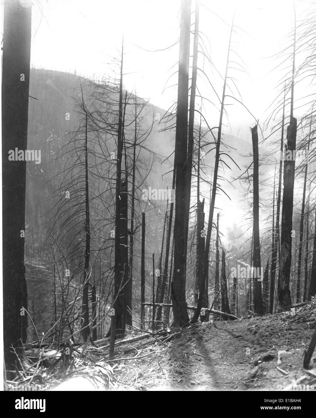 The 1910 Fires, one of the largest and most devastating wildfires in U ...