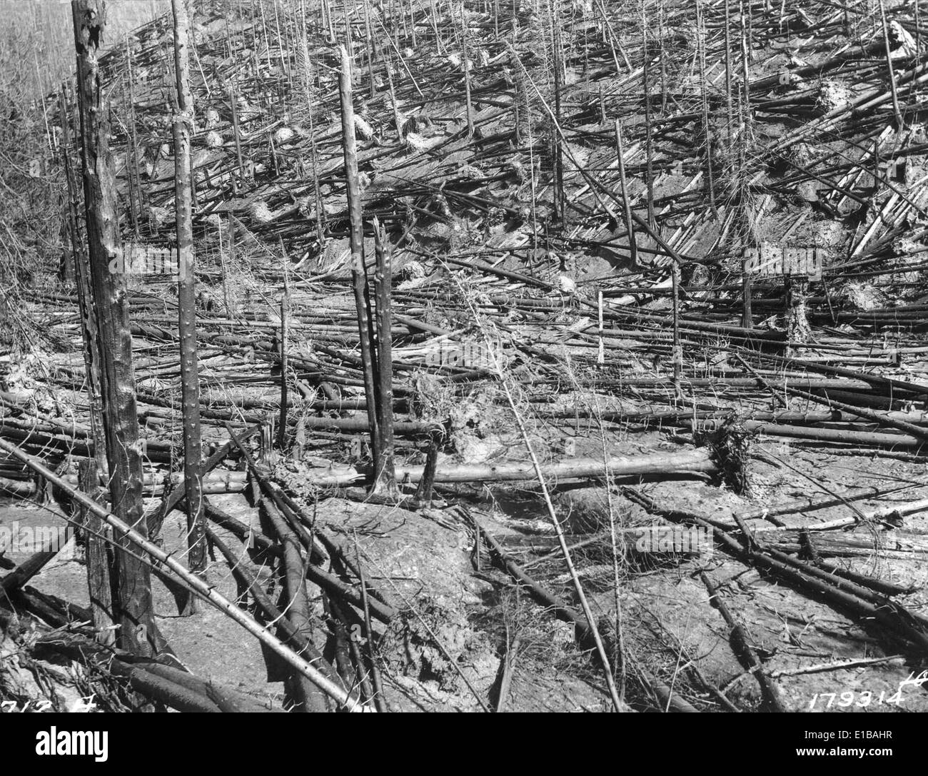 The aftermath of the 1910 Fires, one of the largest wildfires in U.S ...
