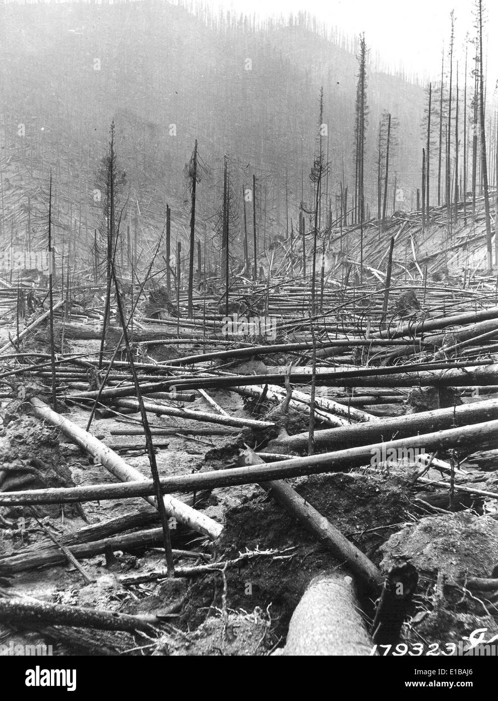 The aftermath of the 1910 Fires, one of the largest wildfires in U.S ...