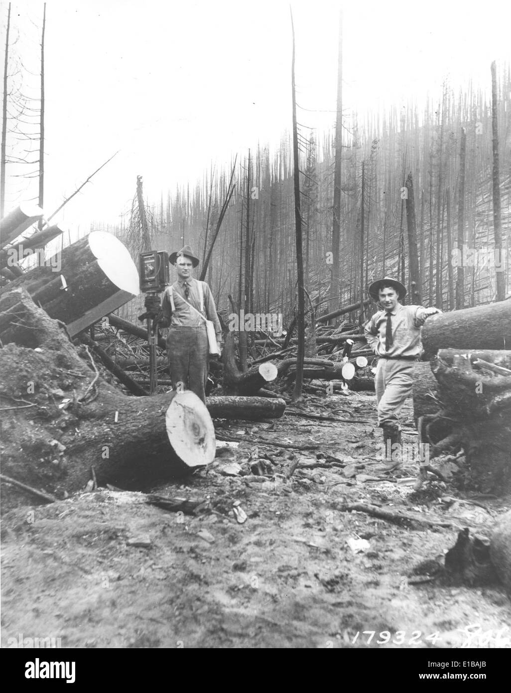 This image shows the aftermath of the 1910 Fires, one of the largest ...