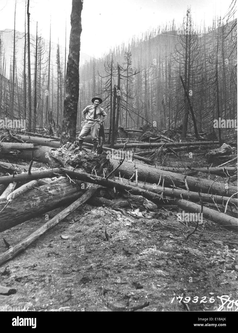 The aftermath of the 1910 fires in the U.S. shows the extensive damage ...