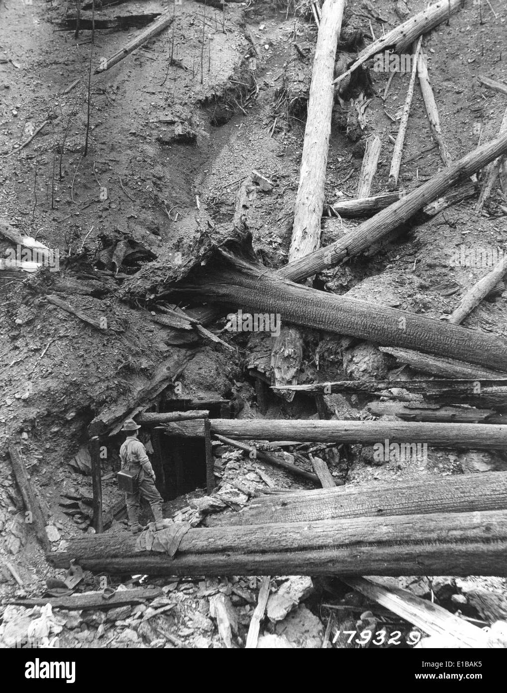 The aftermath of the 1910 Fires, one of the largest wildfire events in ...