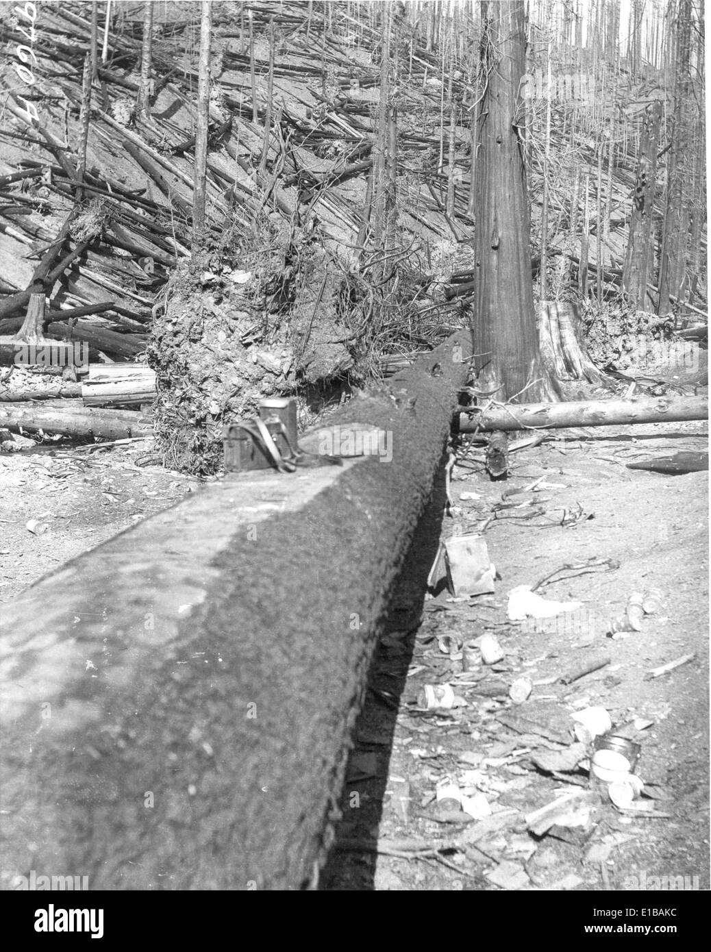 The 1910 Fires, one of the largest wildfires in U.S. history, had ...