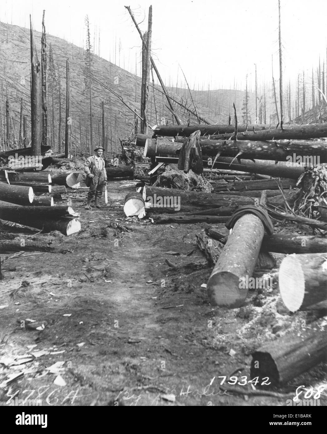 The 1910 Fires, one of the largest wildfires in U.S. history, left ...