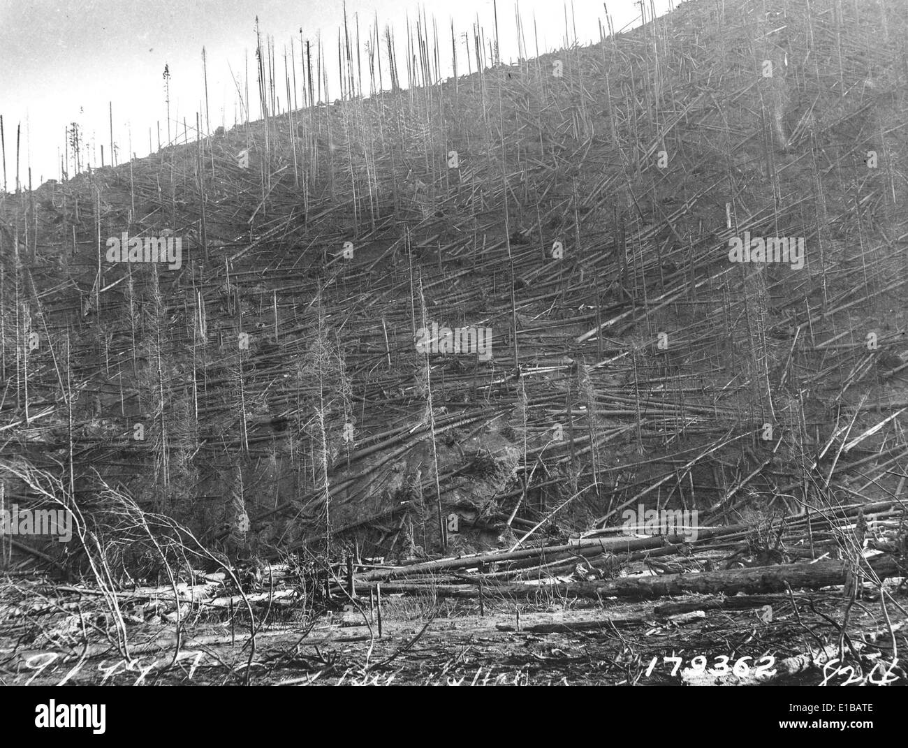 The 1910 Fires in the U.S. were a significant event in the history of ...