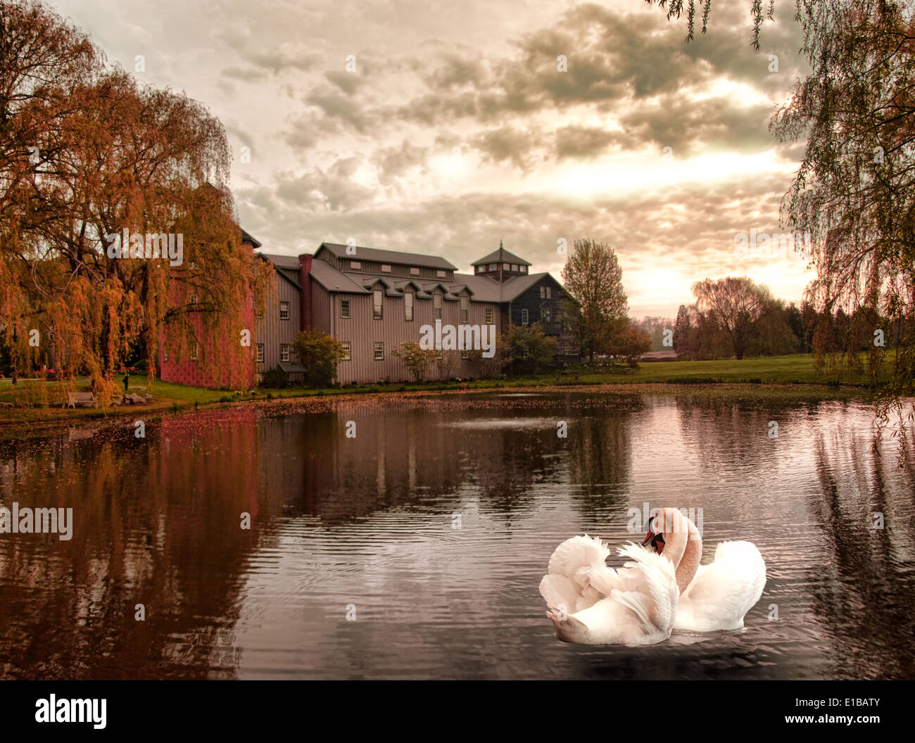 Pond magic hi-res stock photography and images - Alamy