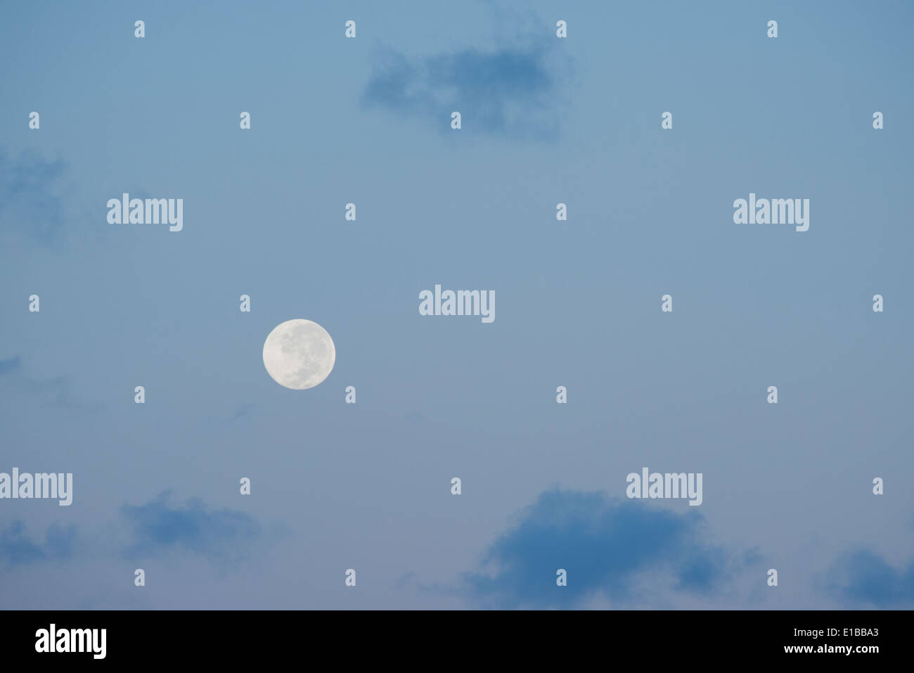 Australia, Northern Territory, Darwin. Full moon, moonrise with blue ...