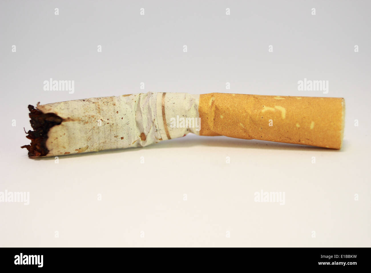 Single isolated used cigarette butt on white background Stock Photo - Alamy