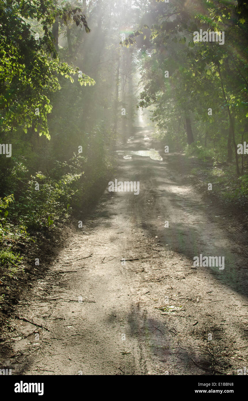 Sunbeams environment hi-res stock photography and images - Alamy