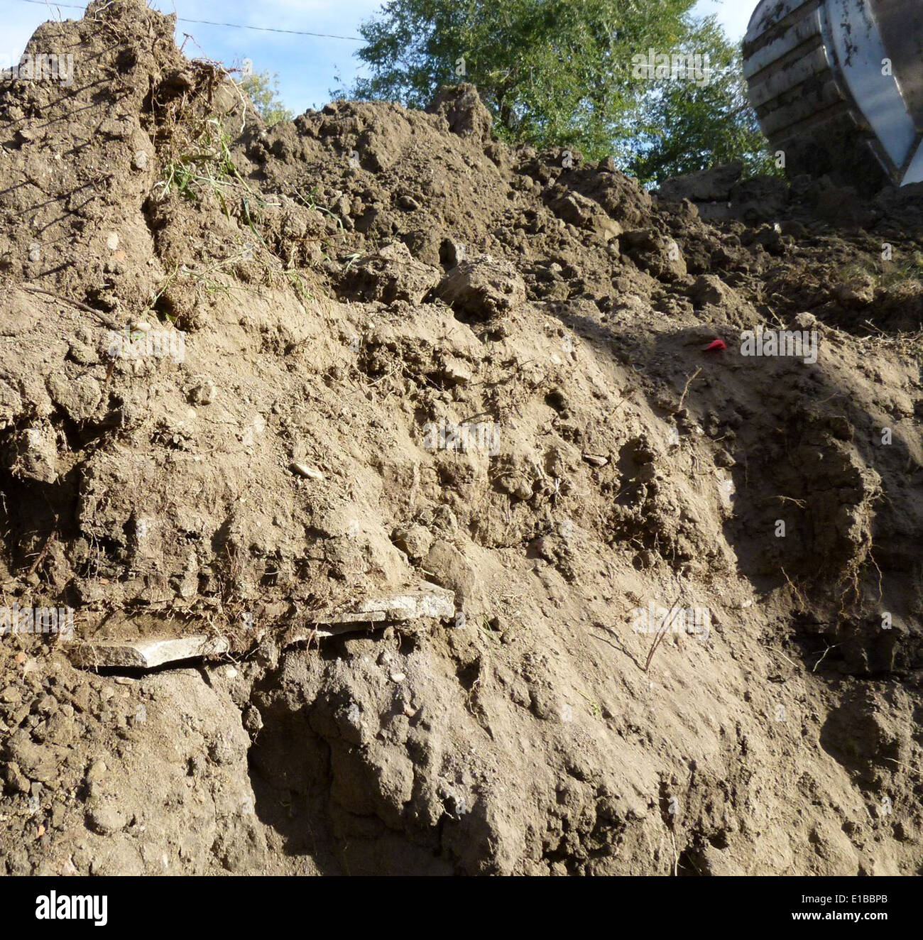 A walkway in Profile Camp Crook in Custer National Forest, part of the ...