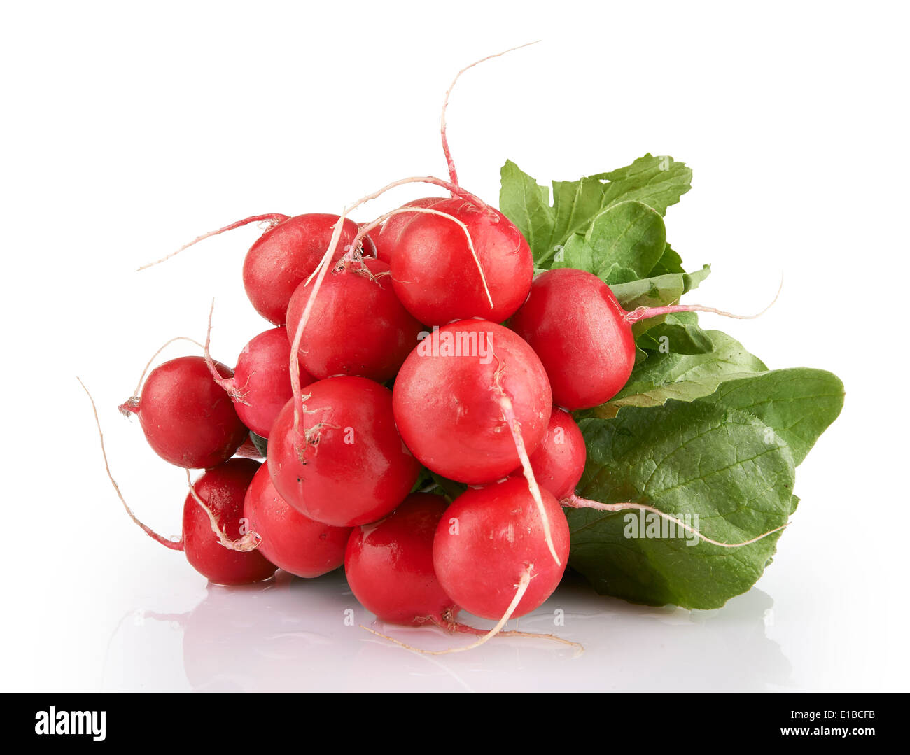 Small garden radish isolated on white background Stock Photo - Alamy