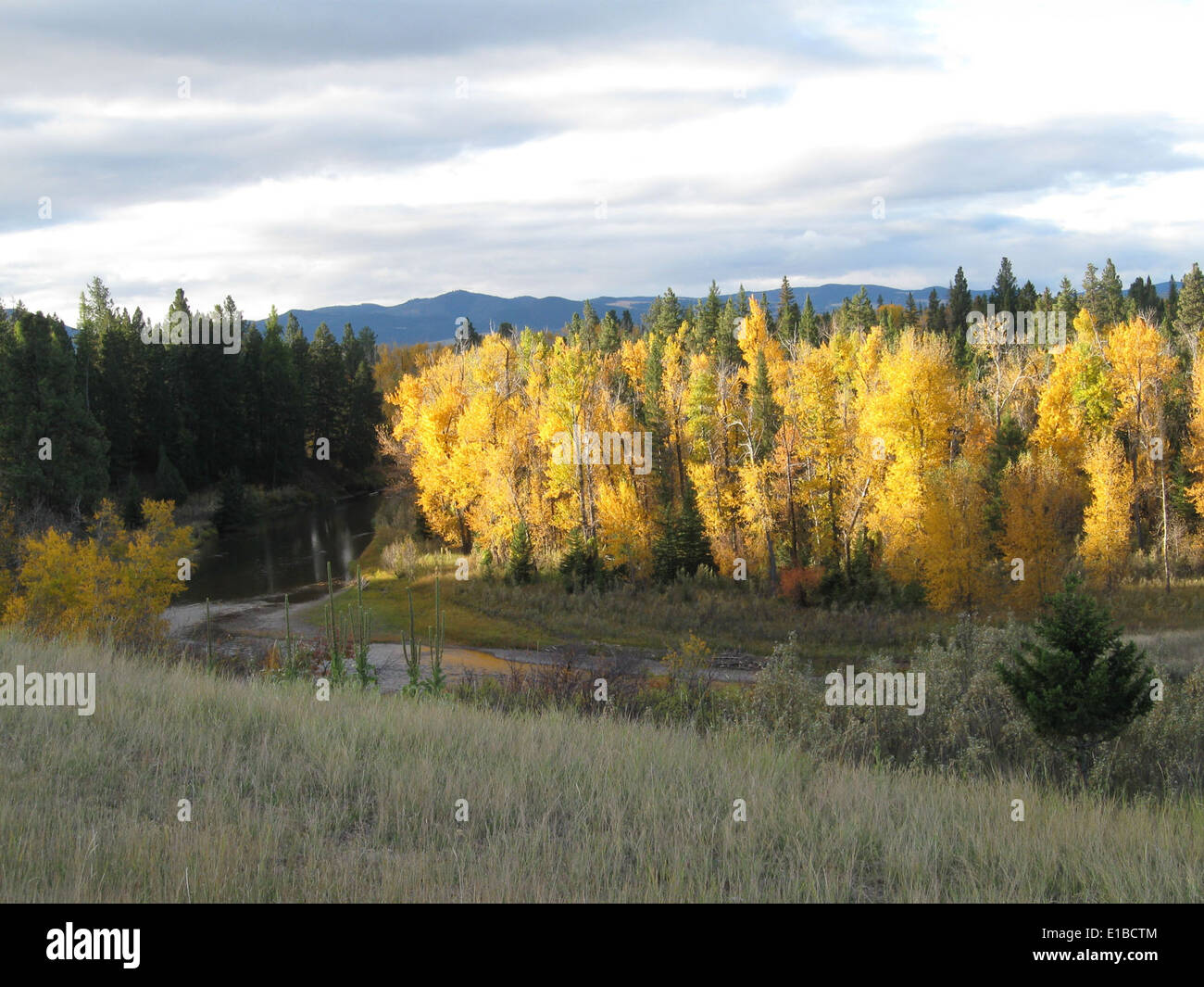 The fall colors in Helena National Forest are a major draw for visitors ...