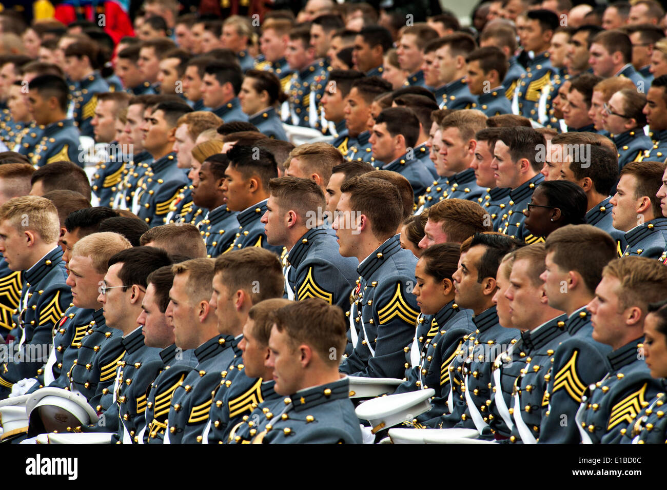 Military diplomas hi-res stock photography and images - Alamy