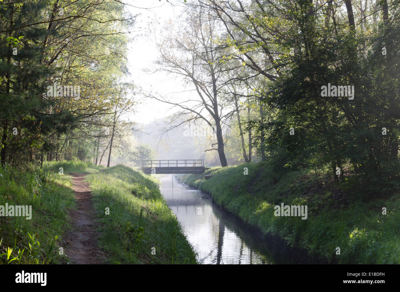 Bridge on spring creek hi-res stock photography and images - Alamy