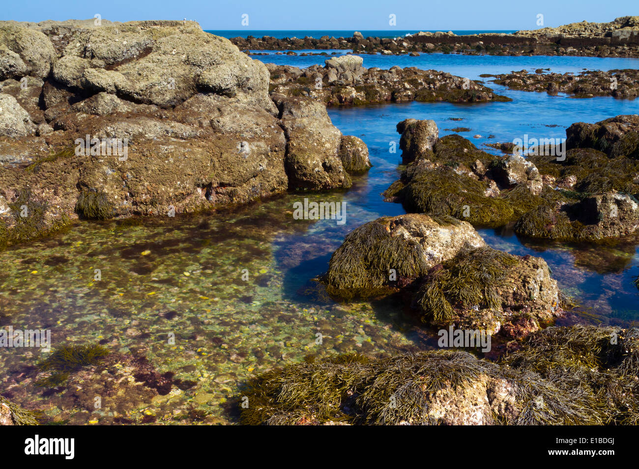 Tidal pools hi-res stock photography and images - Alamy
