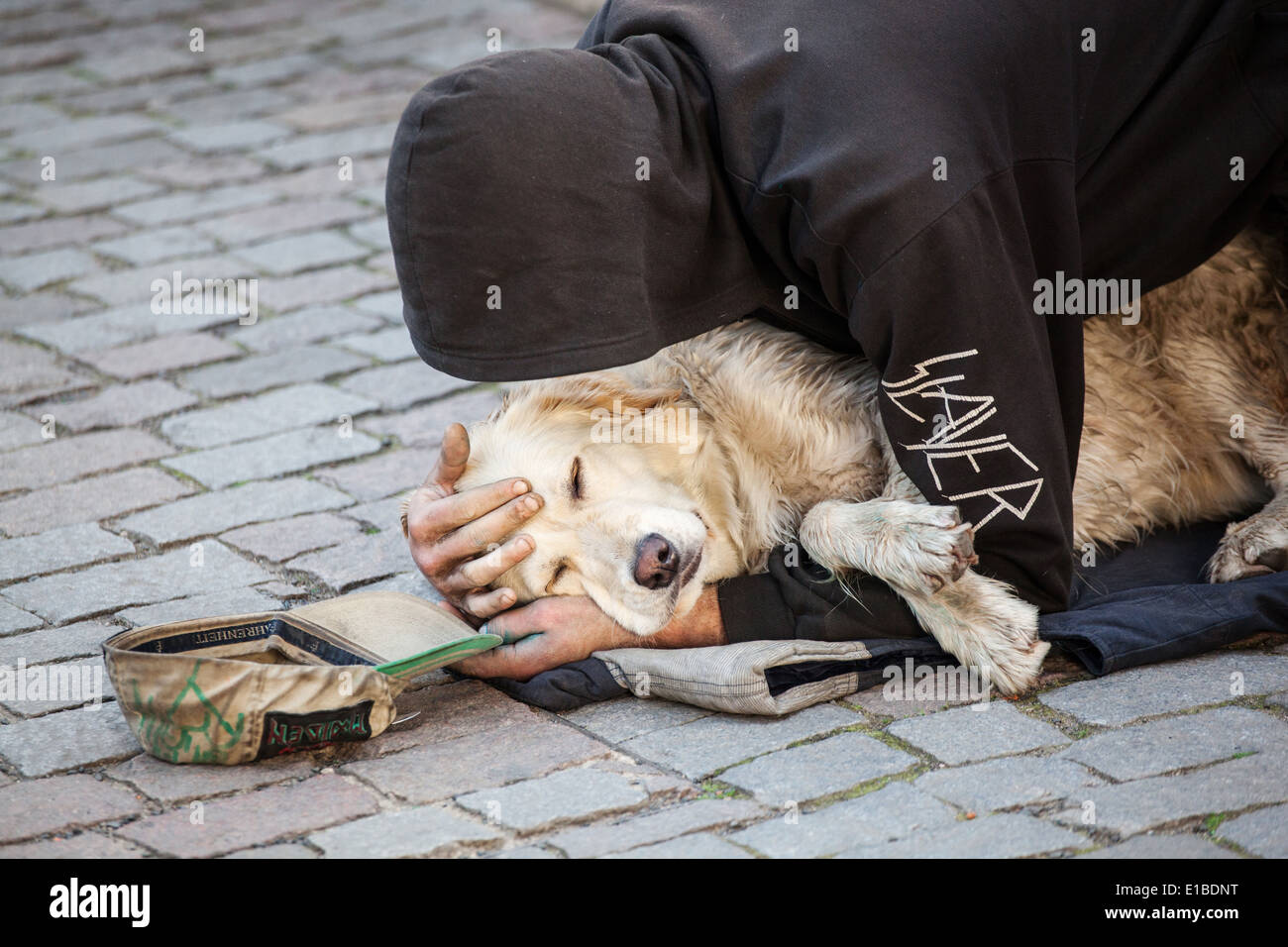 Beggar with dog on the street of Prague, Czech Republic Stock Photo - Alamy