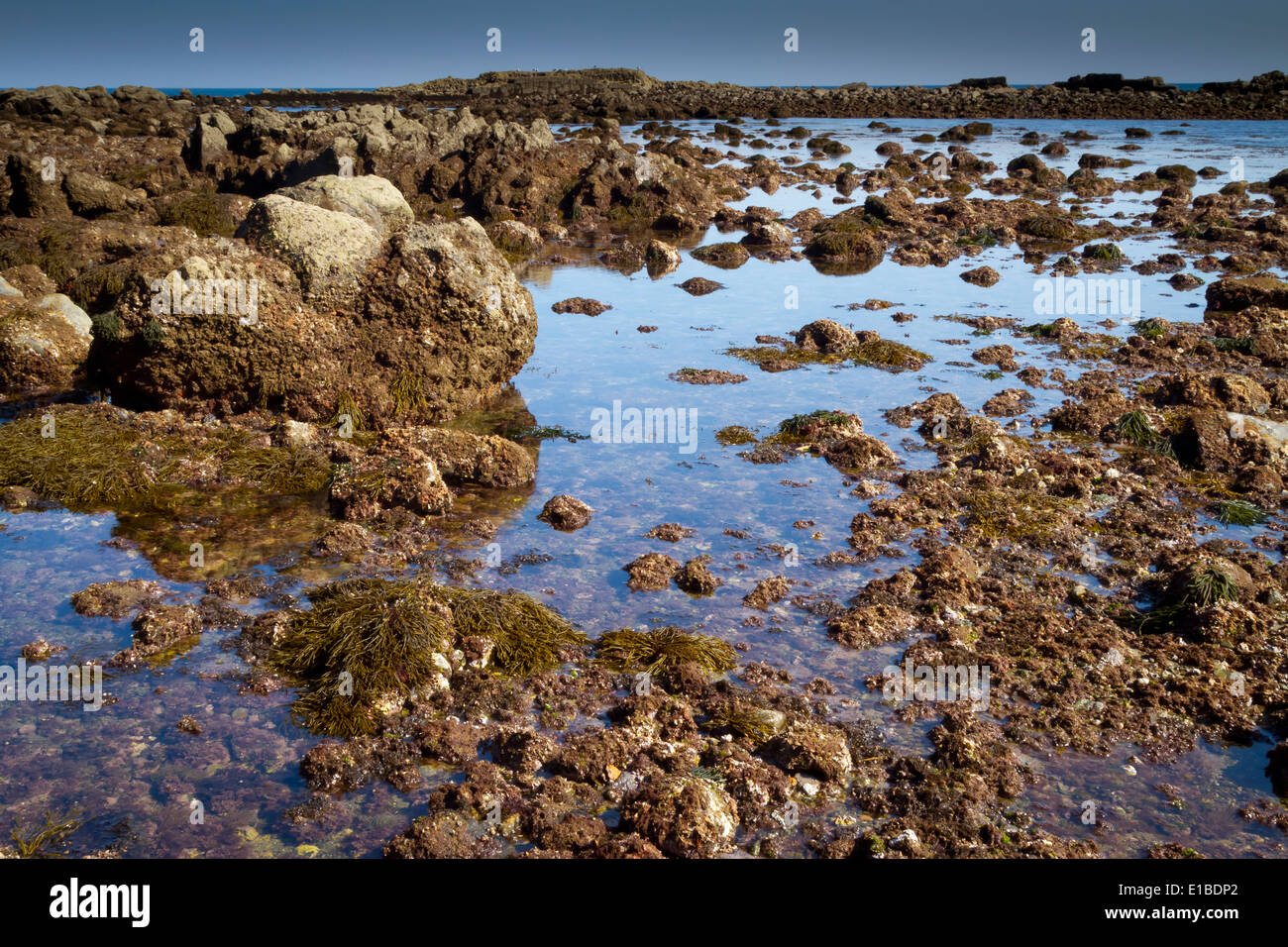 Tidal pools hi-res stock photography and images - Alamy