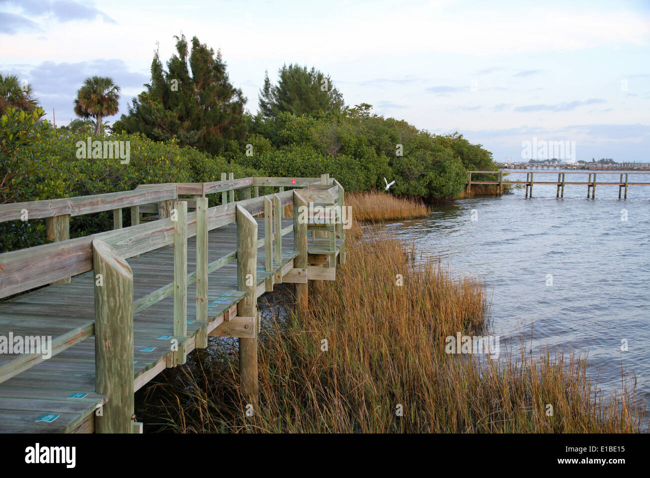 A wooden observation pier Stock Photo - Alamy