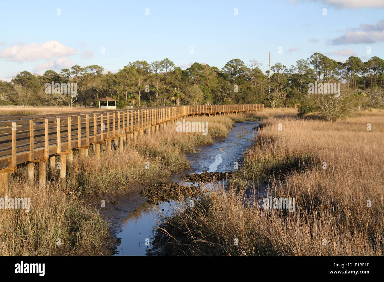 Marsh grass marshland marshlands observation site dry creek hi-res ...