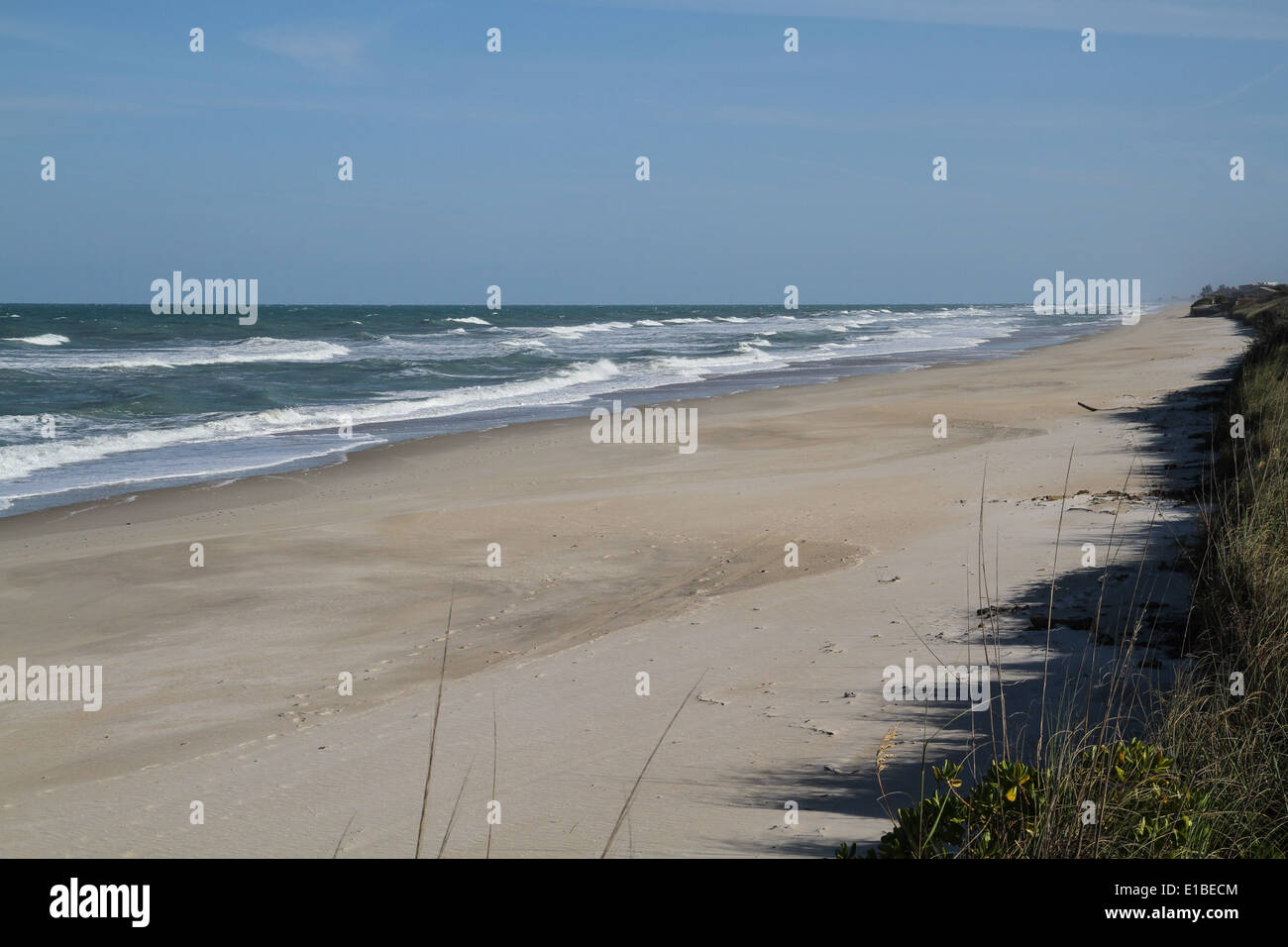 Atlantic coastal beach at Merritt Island National Wildlife Refuge Stock ...