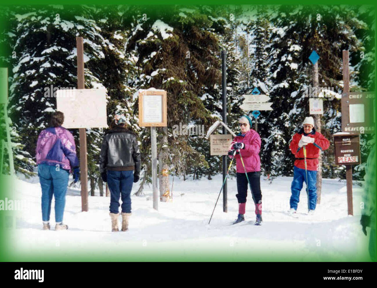 The Chief Joseph Cross Country Ski Trail in Montana offers scenic ...